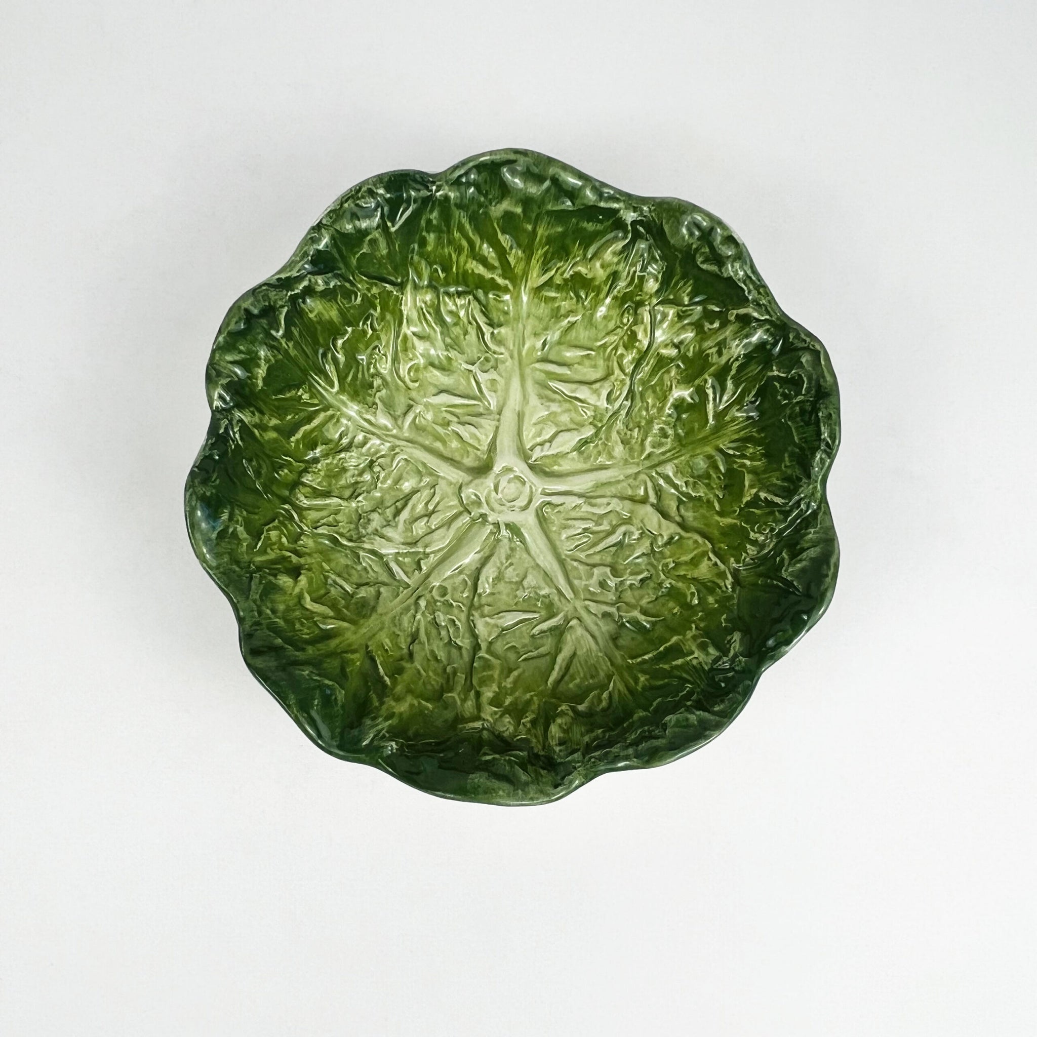 SET DI 6 BOLETTI "CAVOLO VERZA VERDE"